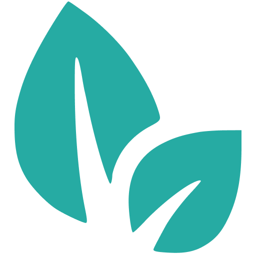 Positive Behaviour Support - Brave Mental Health